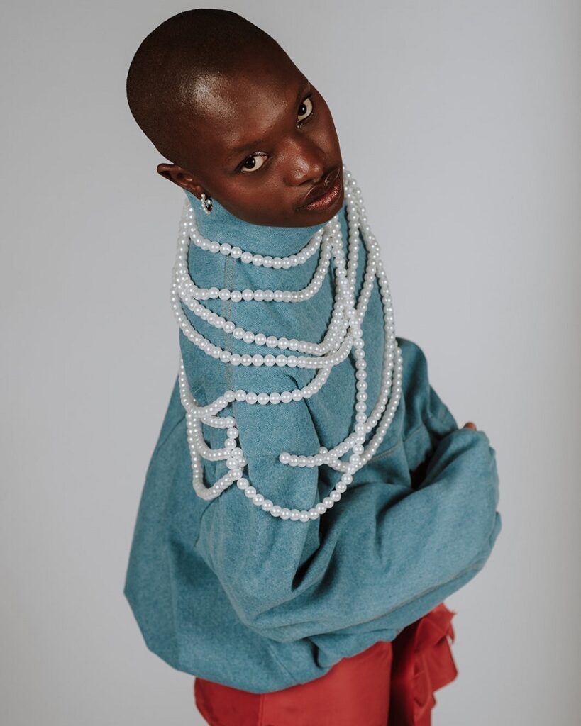 The Importance of Diversity in Modelling with BMA Models | BMA Models Blog